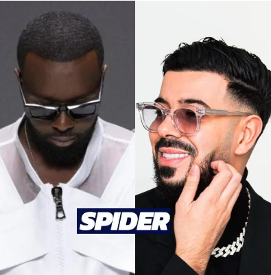 GIMS & DYSTINCT - SPIDER déja sur MixFeever Hit Garantie... - MixFeever